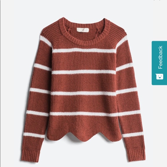 PINQUE | Sweaters | Pinque Burnt Orange Lily Cropped Scallop Hem ...